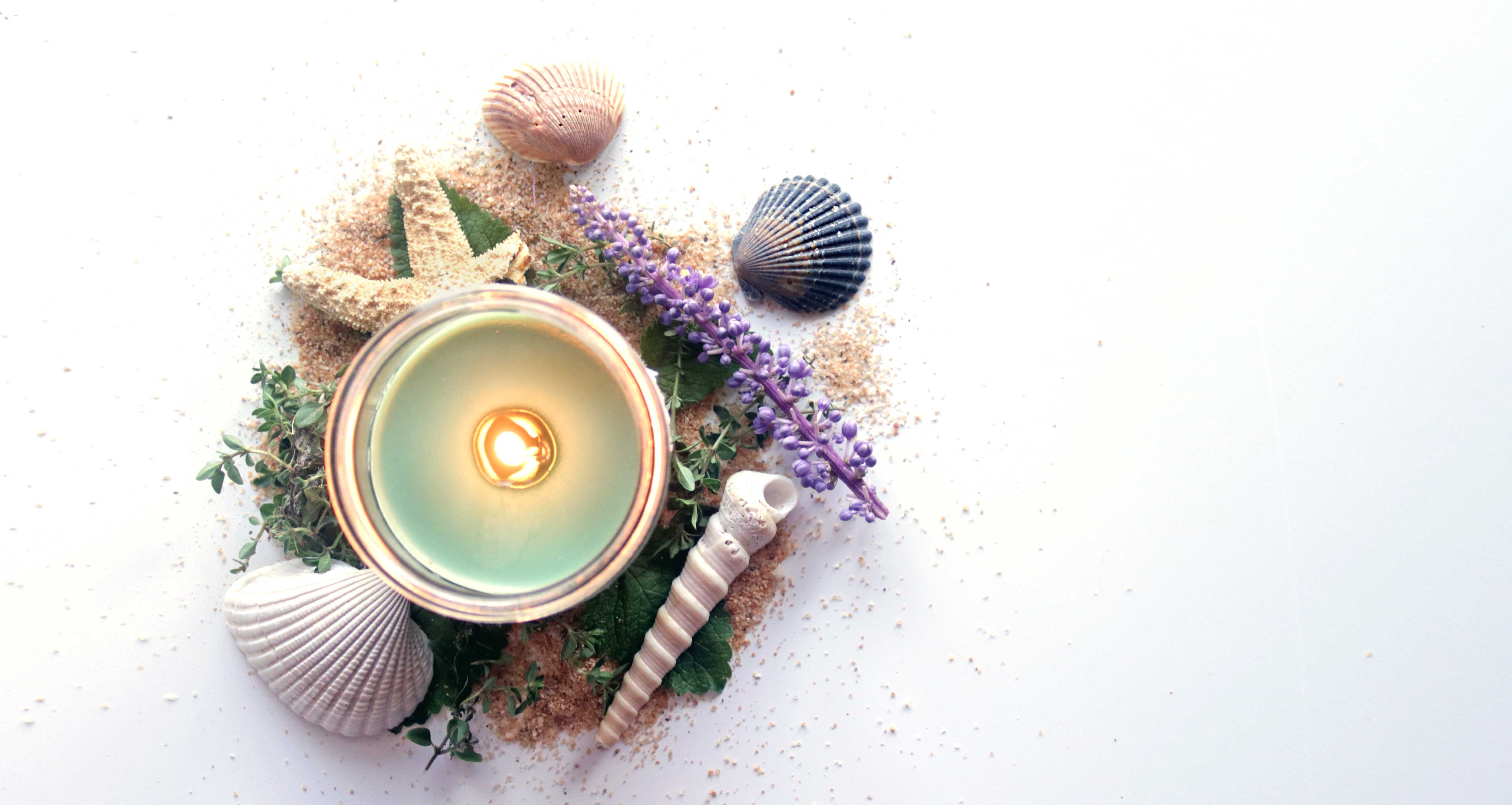 11 Ways To Use Seashells In Witchcraft And Spells Moody Moons